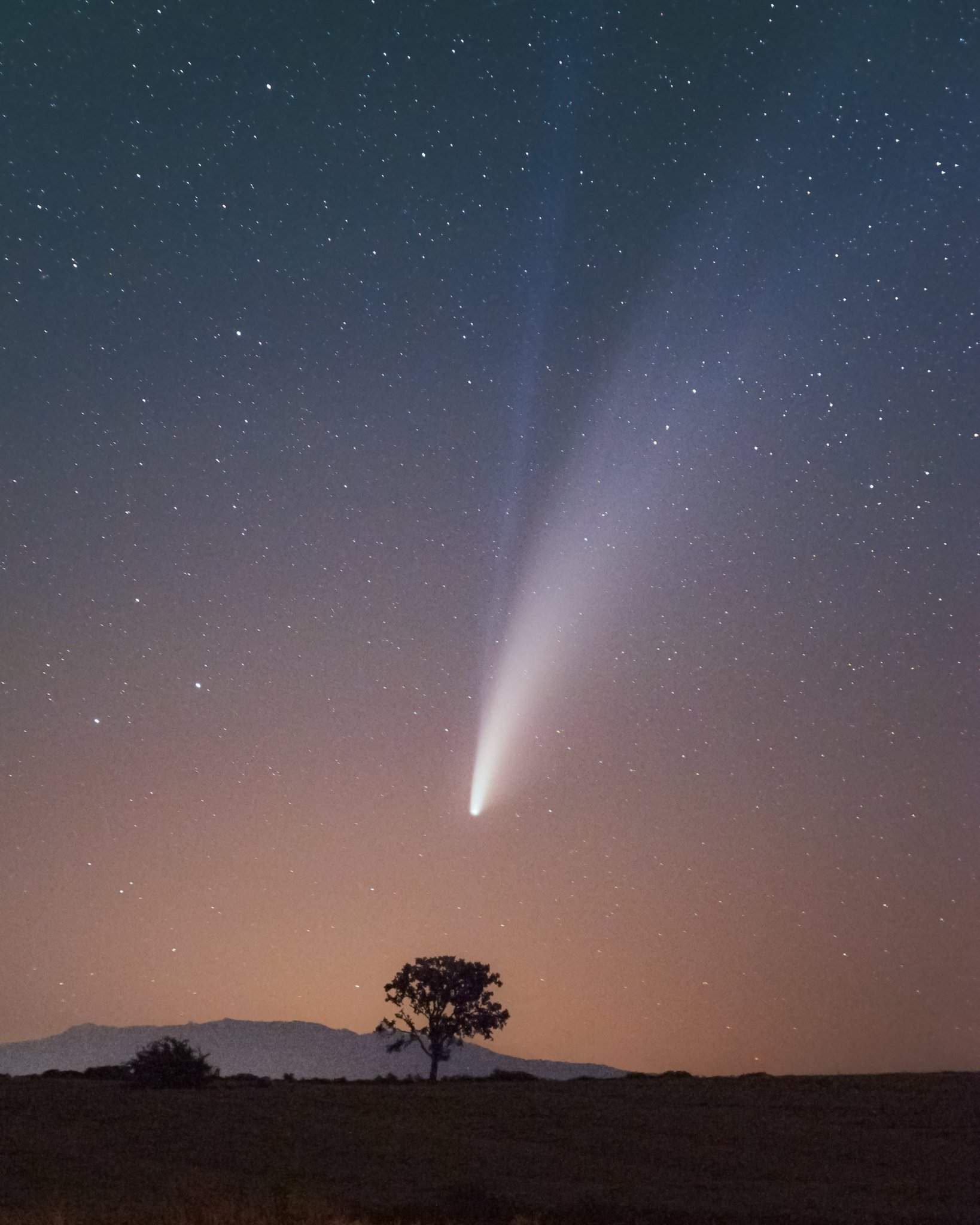 Cómo y cuándo ver el Tsuchinshan-ATLAS, el “cometa del siglo”